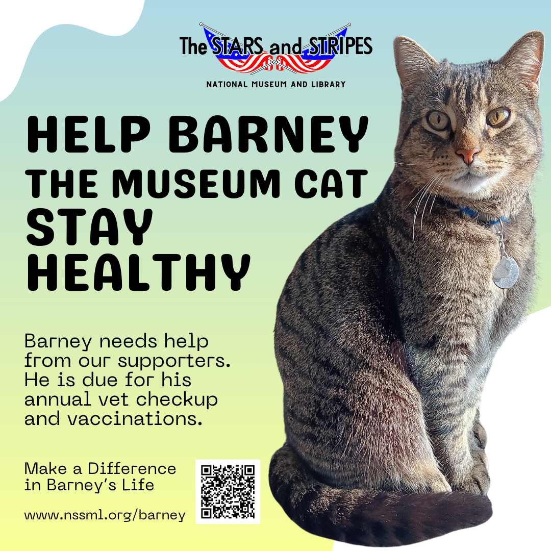 🐾 Help Keep Barney, The Museum Cat, Fed and Healthy! 🐾 - The Stars and ...